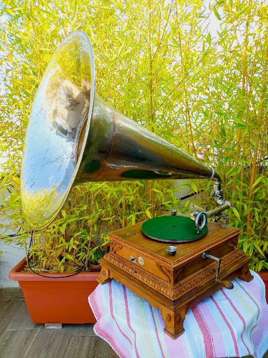 1904 Mammut Coin op gramophone :: Pedrofono